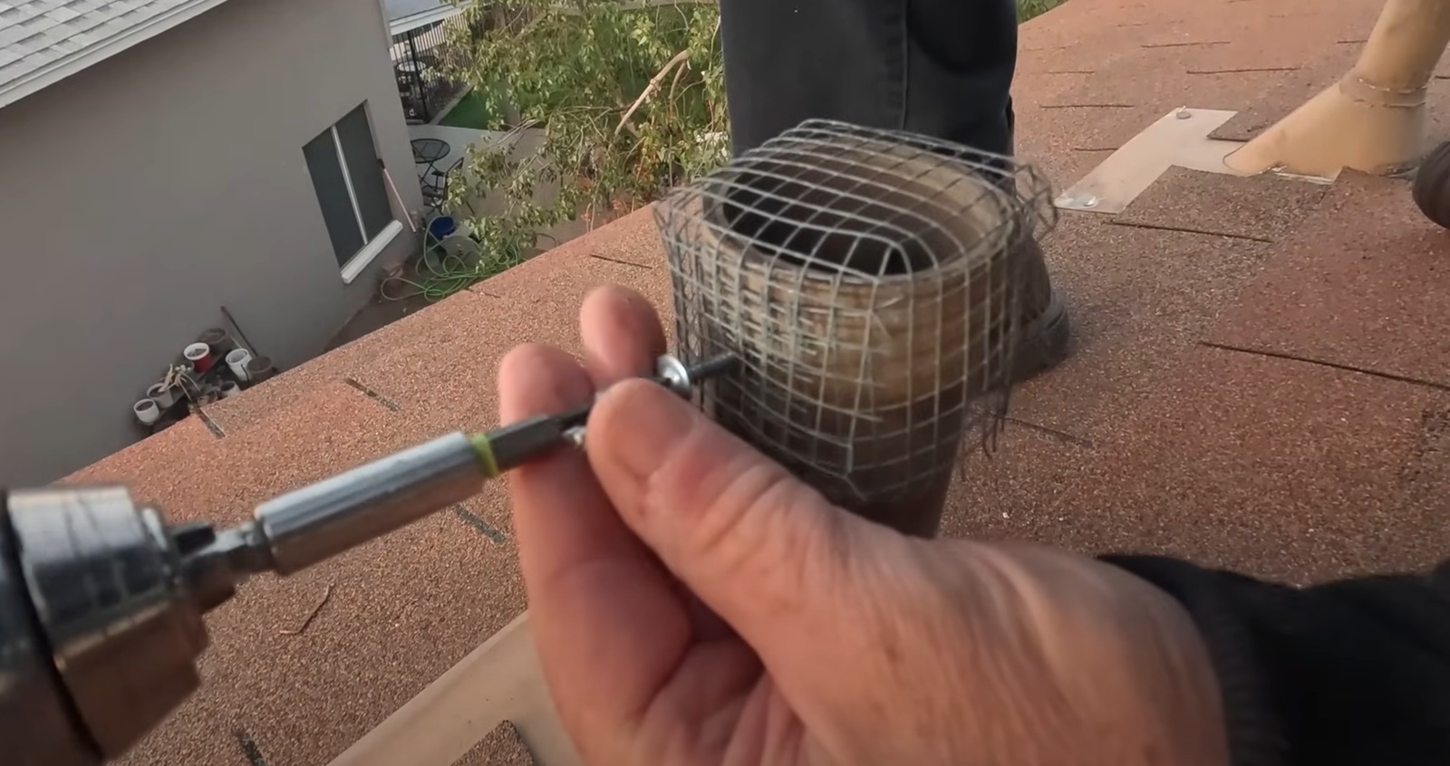 Professional Rat Proofing for Homes in Dallas | Dallas Rat Control Services
